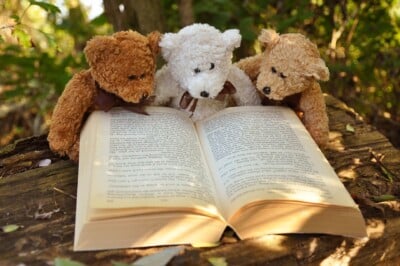 How to Host A No-Contact Bear Scavenger Hunt In Your Neighborhood Kids ...