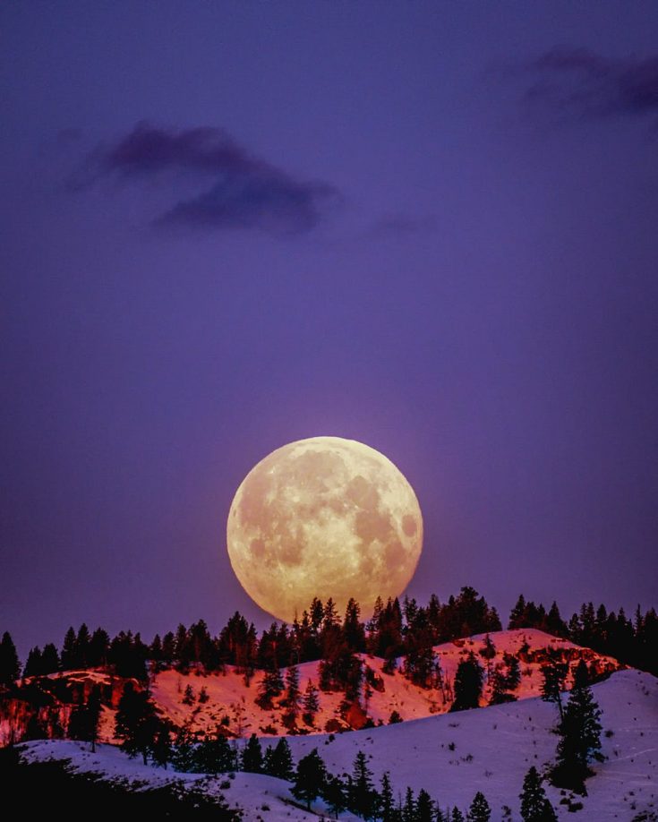 The Super Pink Moon Is Coming. Here's What You Need To Know Kids ...