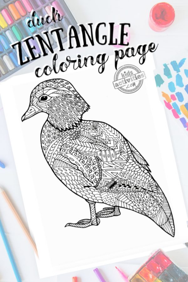 Charming Zentangle Mandarin Duck Coloring Page Kids Activities Blog