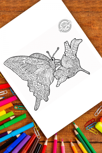 Free Zentangle Flower & Butterfly Pattern Printable Coloring Page