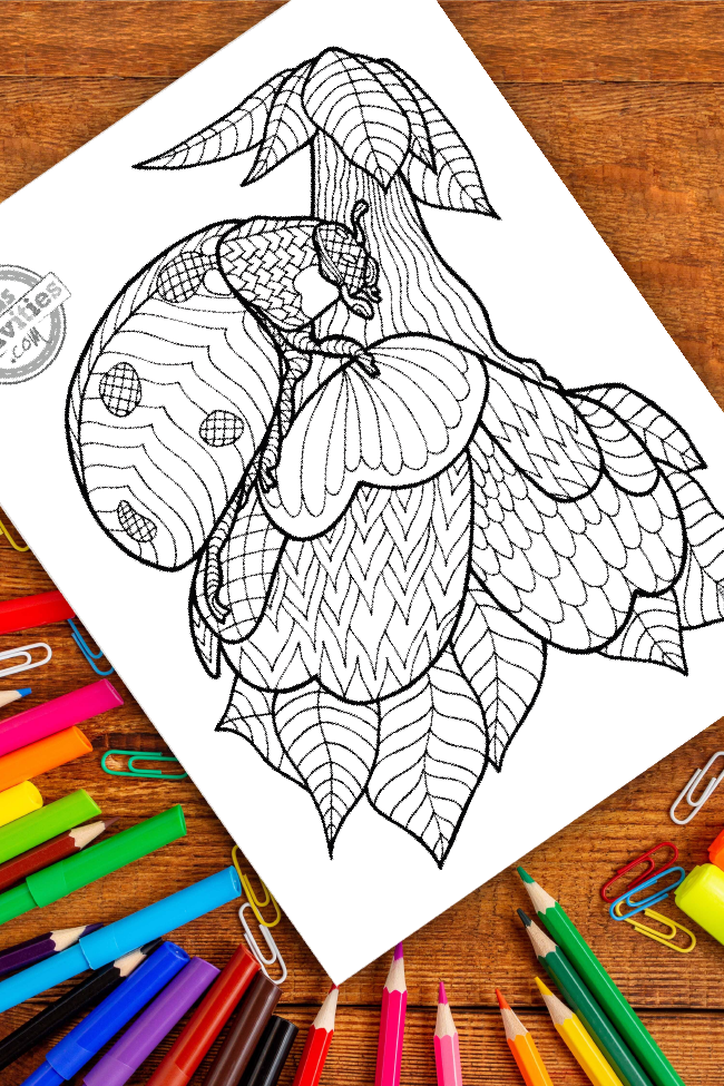 Zentangle Ladybug Pattern Printable Coloring Page Kids Activities Blog