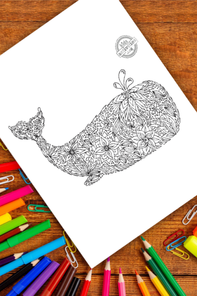 Whimsical Zentangle Whale Coloring Page Kids Activities Blog