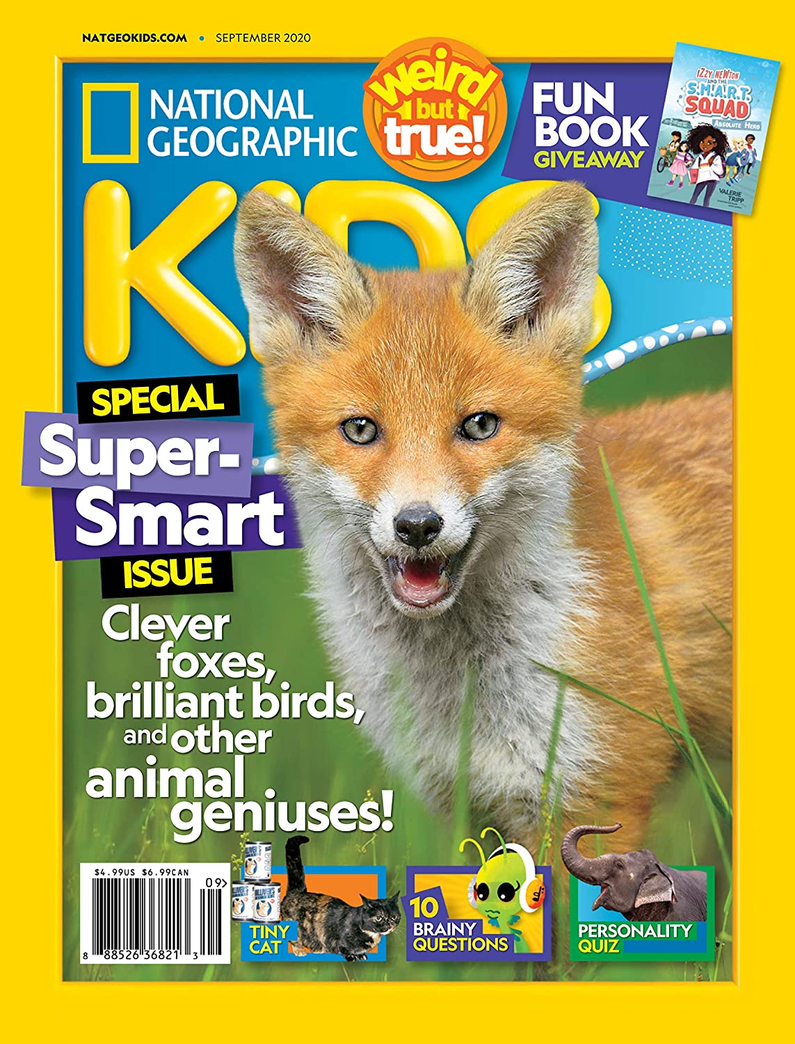 6 Things To Keep Your Kids Busy and Engaged At Home Kids Activities Blog
