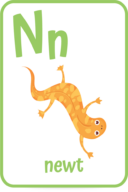 Neat Preschool Letter N Book List | Kids Activities Blog