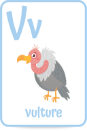 Vivacious Letter V Book List | Kids Activities Blog