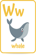 Words That Start With The Letter W • Spelling and Sight Words for Kids