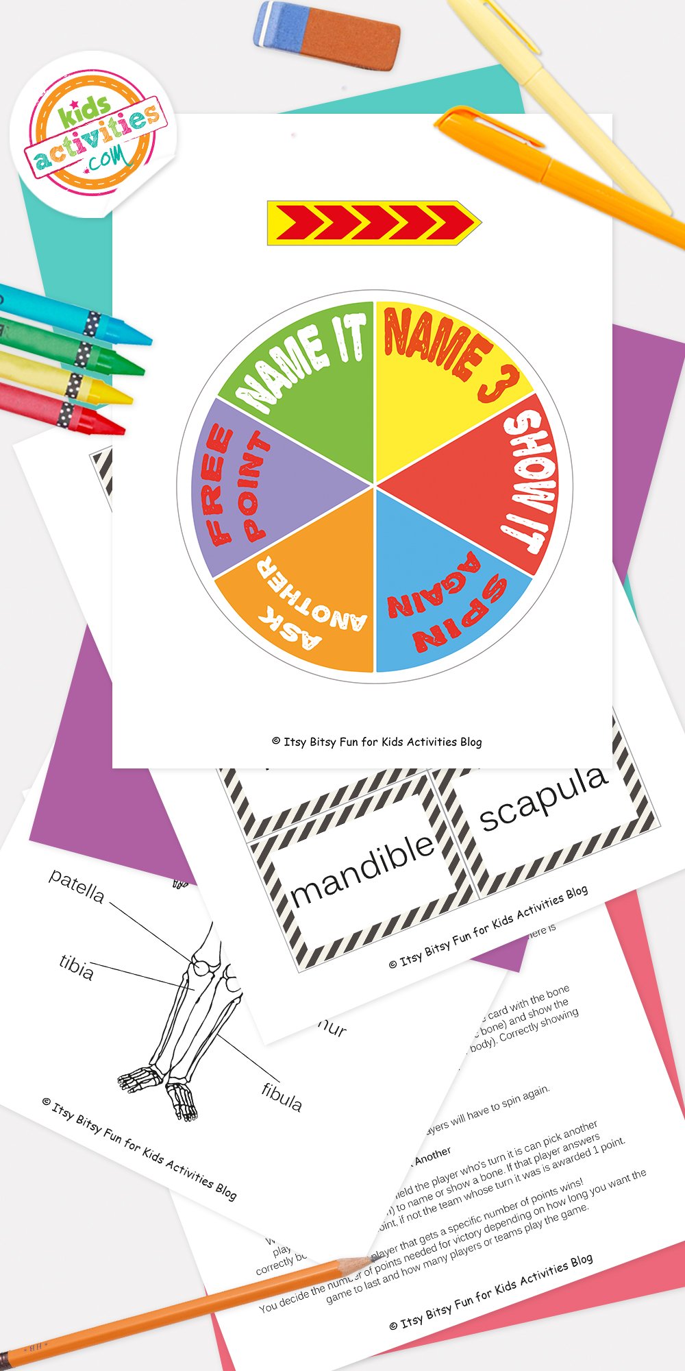 Fun Free Printable Skeleteon Game To Help Learn About All The Bones