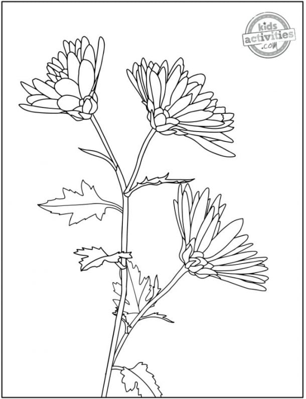 Printable Flower Coloring Pages For Kids - Kids Activities Blog
