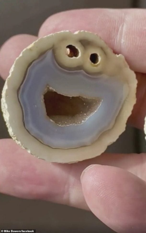 This Geologist Found A Rare Rock That Looks Exactly Like The Cookie ...