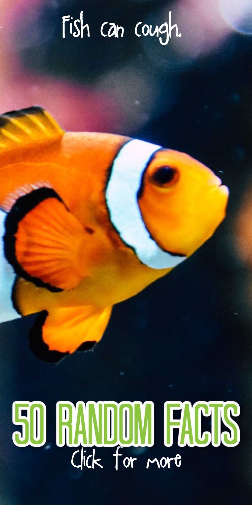 50 Fun Facts | Random Facts that you Won’t Believe are True • Kids ...