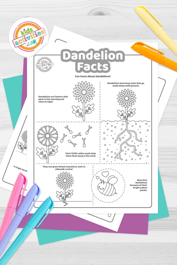 Super Cool Dandelion Fun Facts Kids Will Love | Kids Activities Blog