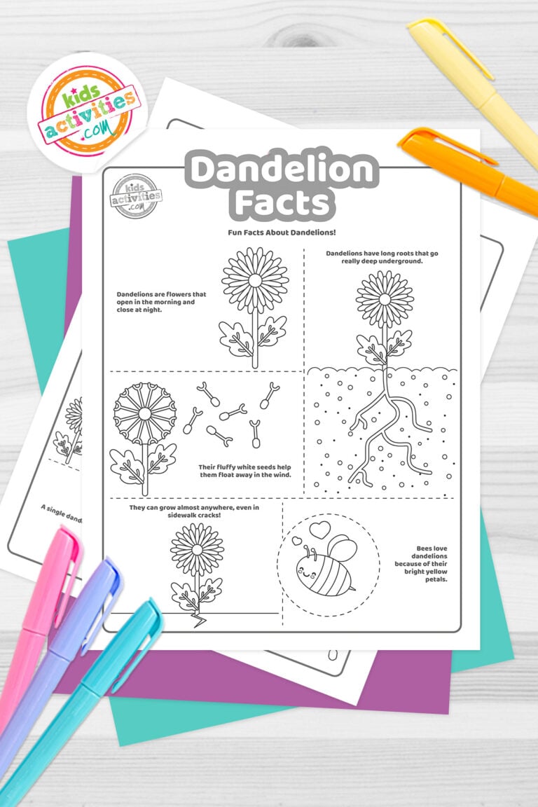 Super Cool Dandelion Fun Facts Kids Will Love | Kids Activities Blog