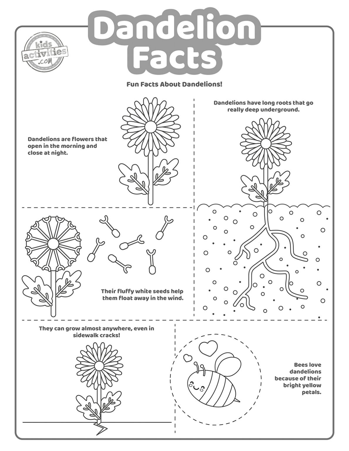 Super Cool Dandelion Fun Facts Kids Will Love | Kids Activities Blog