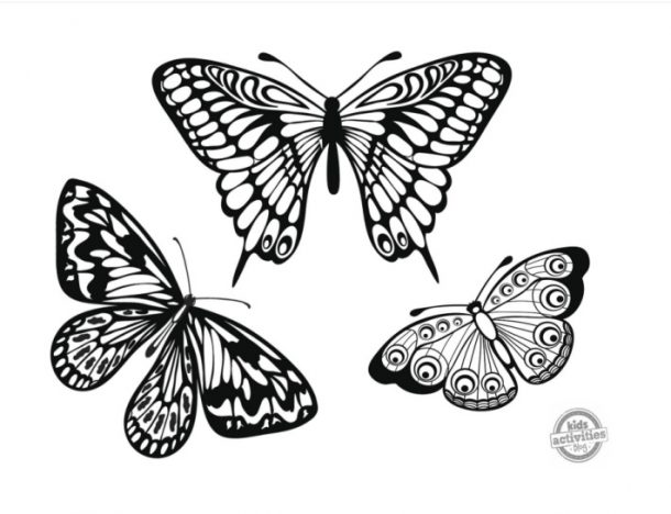 3 Beautiful Butterfly Coloring Pages to Download & Print | Kids ...