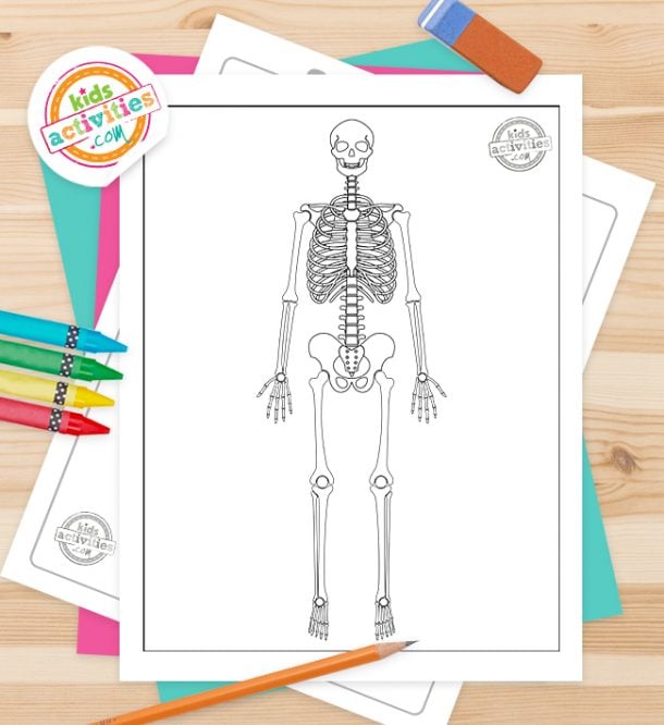 Best Free Skeleton Coloring Pages | Kids Activities Blog