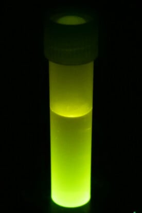 1000+ Engaging Kindergarten Activities for Learning & Play | Kids ...