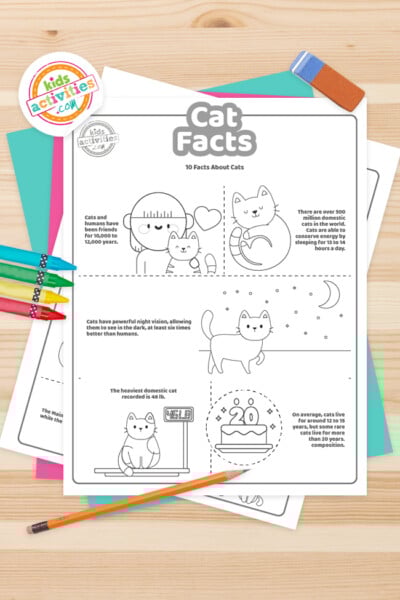 Fun Cat Facts For Kids To Print and Learn | Kids Activities Blog