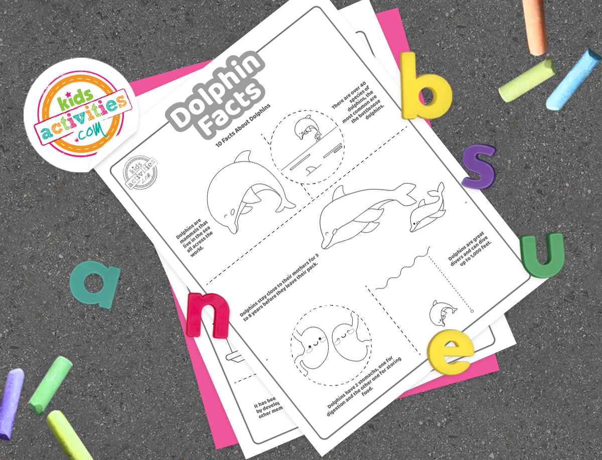 Fun Kids Facts on Dolphins to Print & Play | Kids Activities Blog