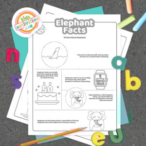 Fun Elephant Facts For Kids To Print and Learn | Kids Activities Blog