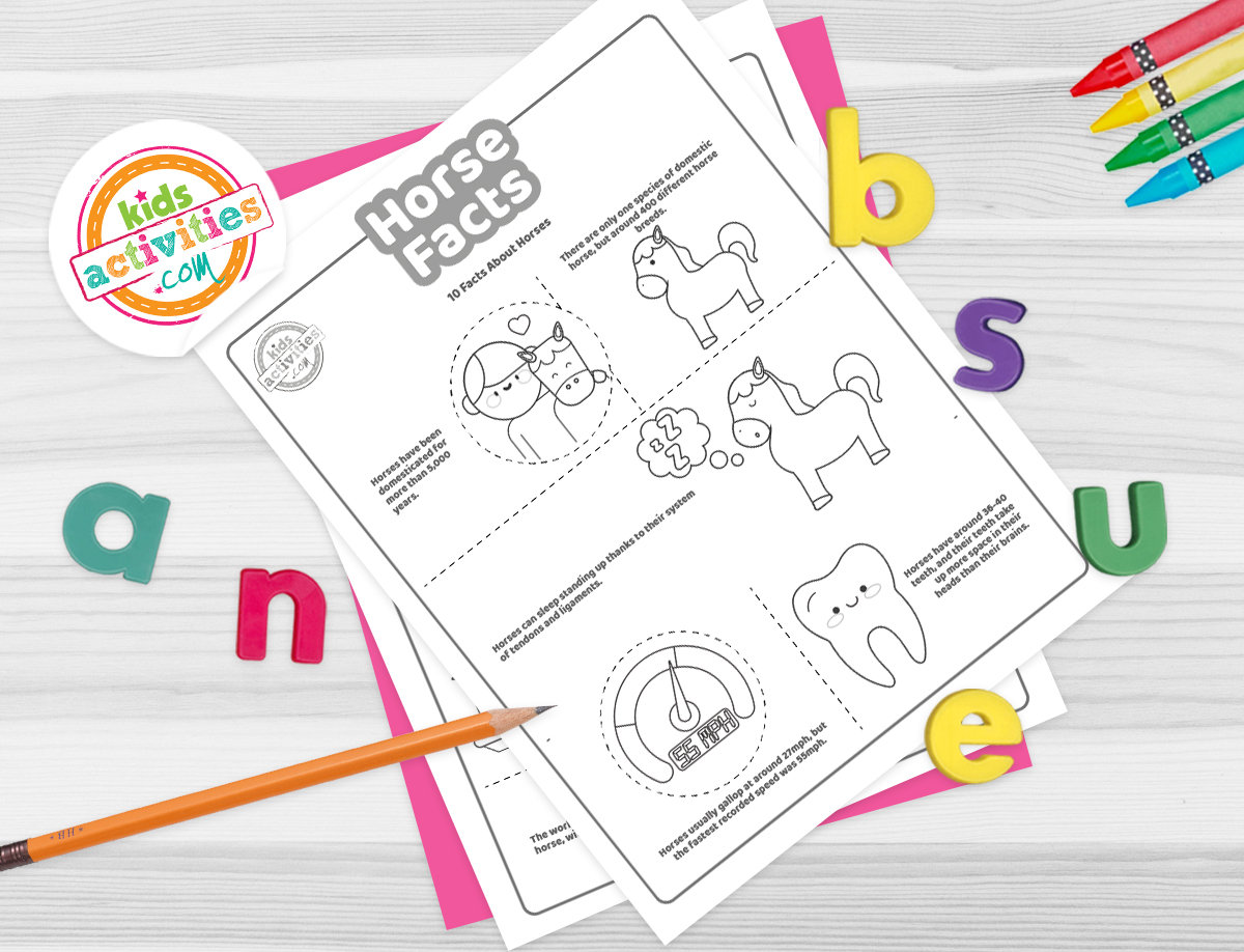 Fun Horse Facts For Kids To Print and Learn | Kids Activities Blog