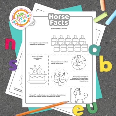 Fun Horse Facts For Kids To Print and Learn | Kids Activities Blog