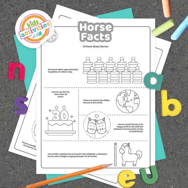 Fun Horse Facts For Kids To Print and Learn | Kids Activities Blog