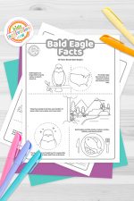 Fun Bald Eagle Facts For Kids To Print and Learn | Kids Activities Blog