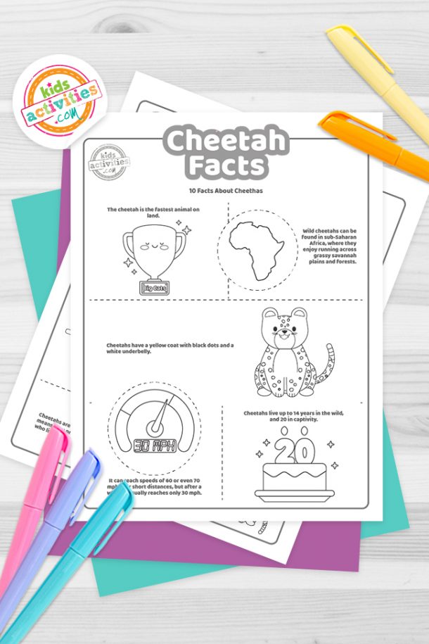 Fun Cheetah Facts for Kids to Print and Learn | Kids Activities Blog