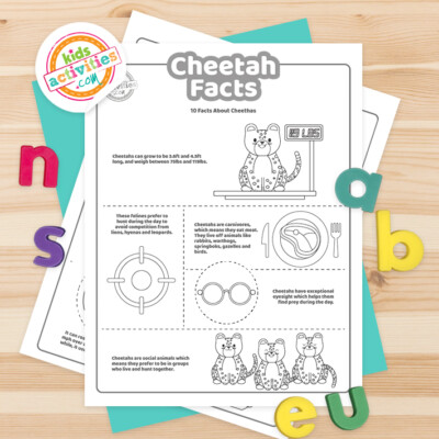 Fun Cheetah Facts for Kids to Print and Learn | Kids Activities Blog