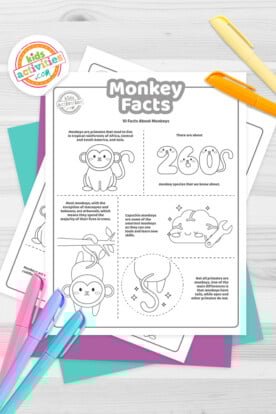 Printable Fun Facts About Monkeys for Kids To Print and Learn | Kids ...