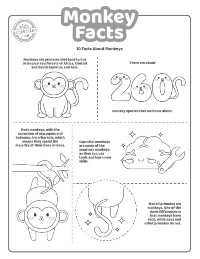 Printable Fun Facts About Monkeys for Kids To Print and Learn | Kids ...
