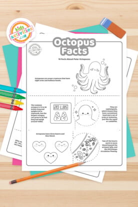 Fun Octopus Facts for Kids to Print and Learn | Kids Activities Blog
