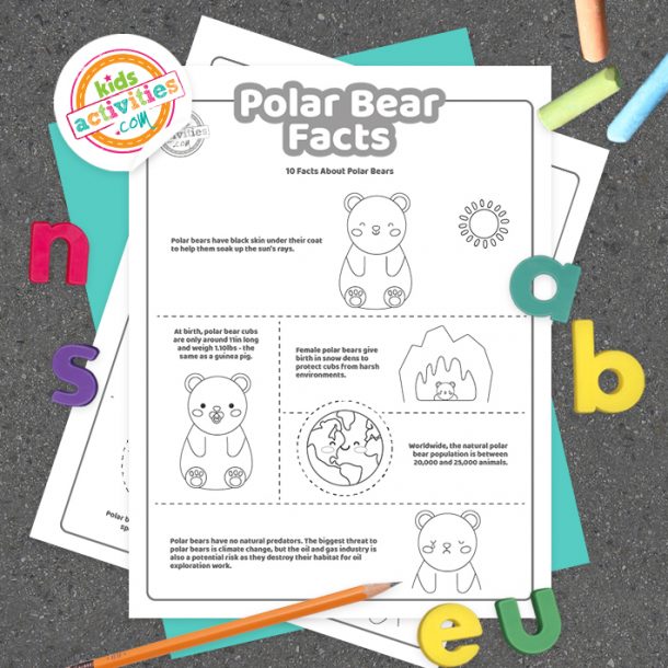 Printable Fun Polar Bear Facts for Kids |Kids Activities Blog