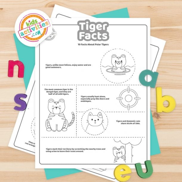 Fun Facts About Tigers for Kids to Print and Learn | Kids Activities Blog