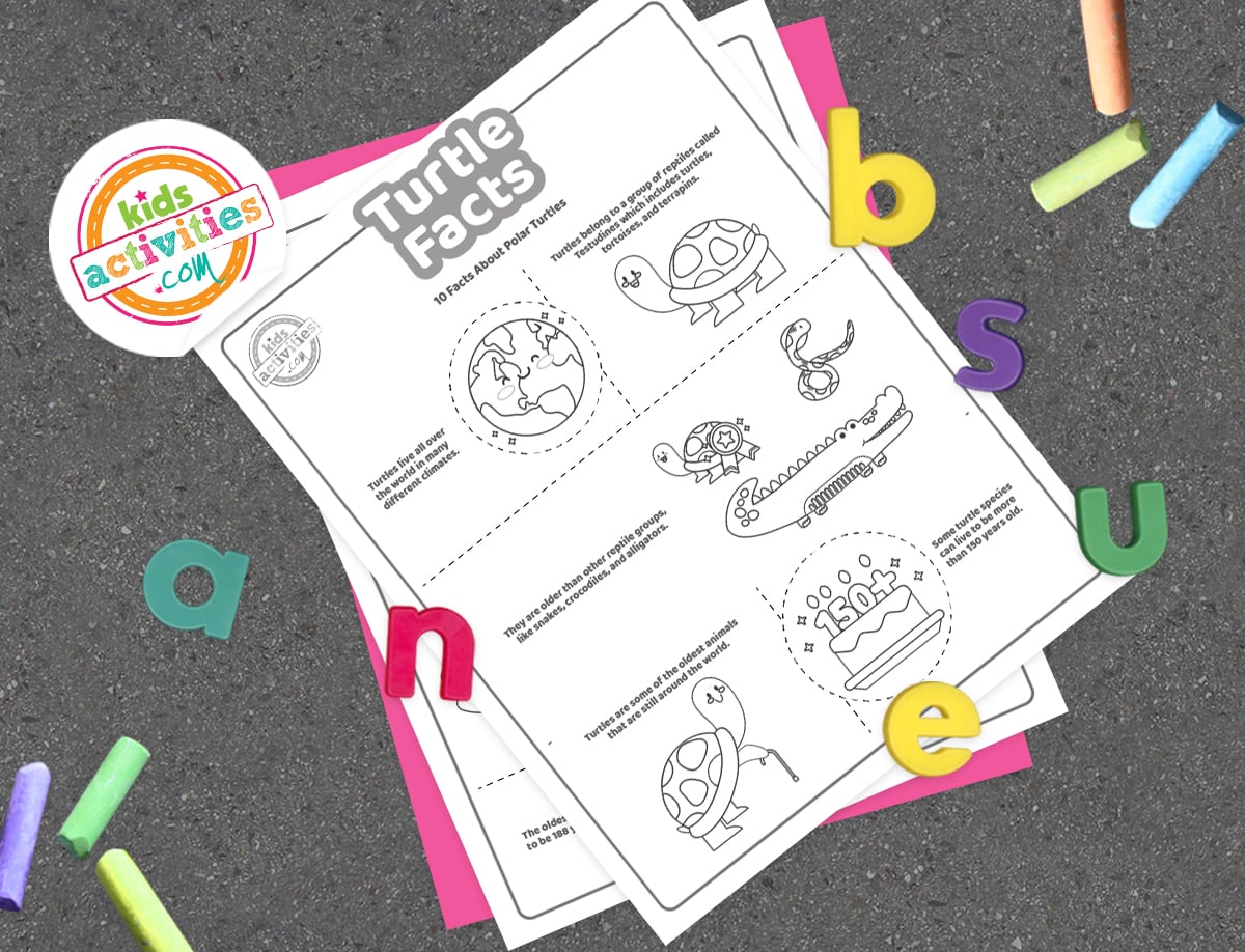 Fun Turtle Facts For Kids To Print and Learn | Kids Activities Blog