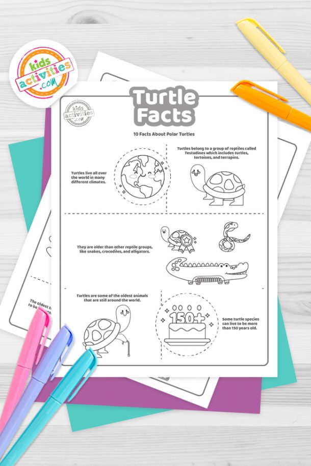 Fun Turtle Facts For Kids To Print and Learn | Kids Activities Blog