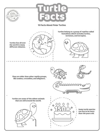 Fun Turtle Facts For Kids To Print and Learn | Kids Activities Blog