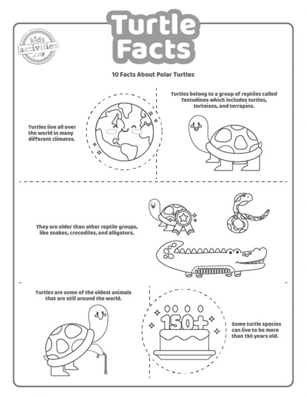 Fun Turtle Facts For Kids To Print and Learn | Kids Activities Blog