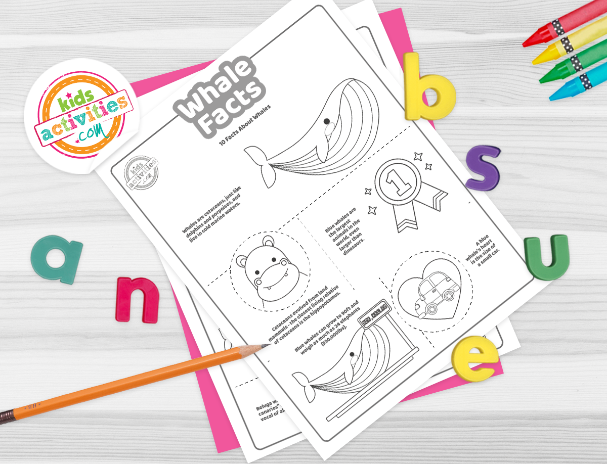 Fun Whale Facts for Kids to Print & Learn |Kids Activities Blog