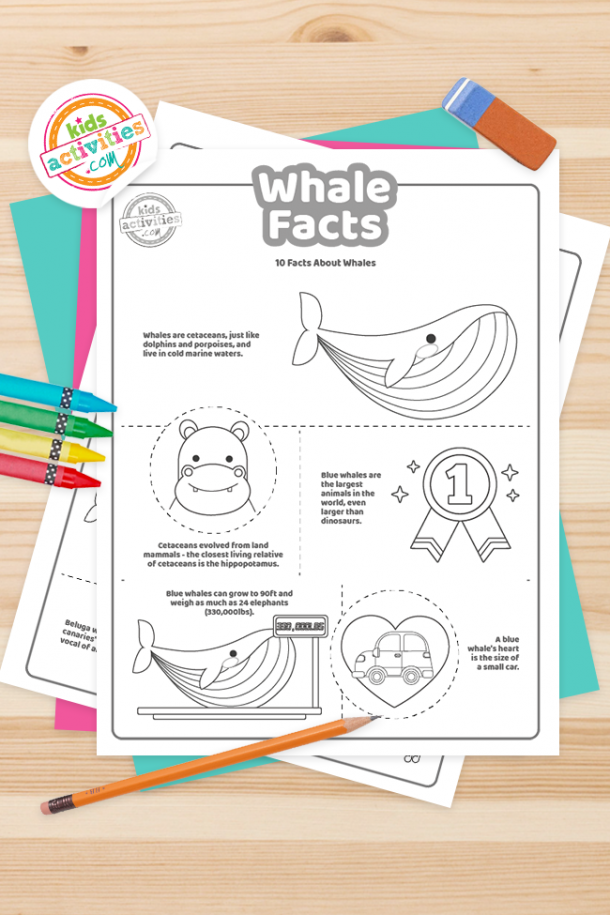 Fun Whale Facts for Kids to Print & Learn |Kids Activities Blog