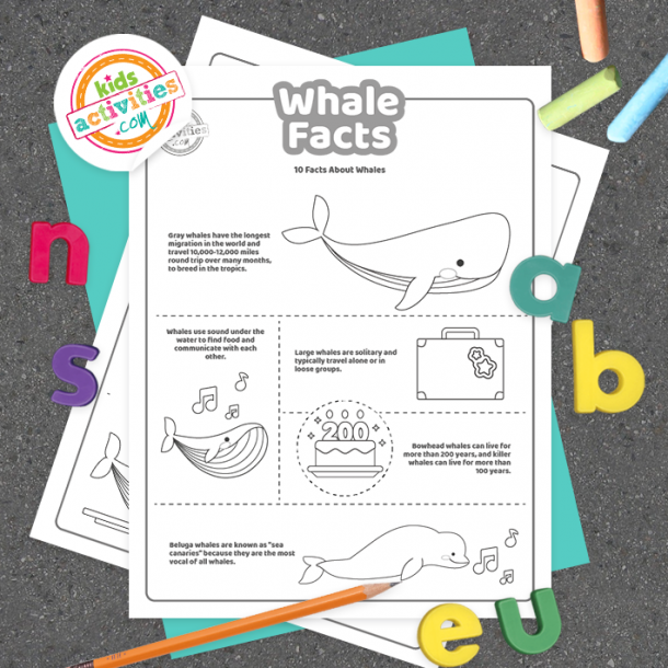 Fun Whale Facts for Kids to Print & Learn |Kids Activities Blog