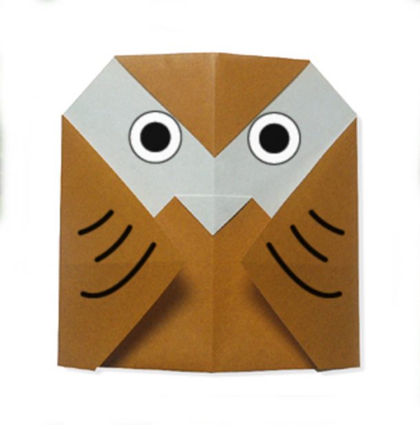 25 Beautiful Origami Owl Projects for Kids | Kids Activities Blog