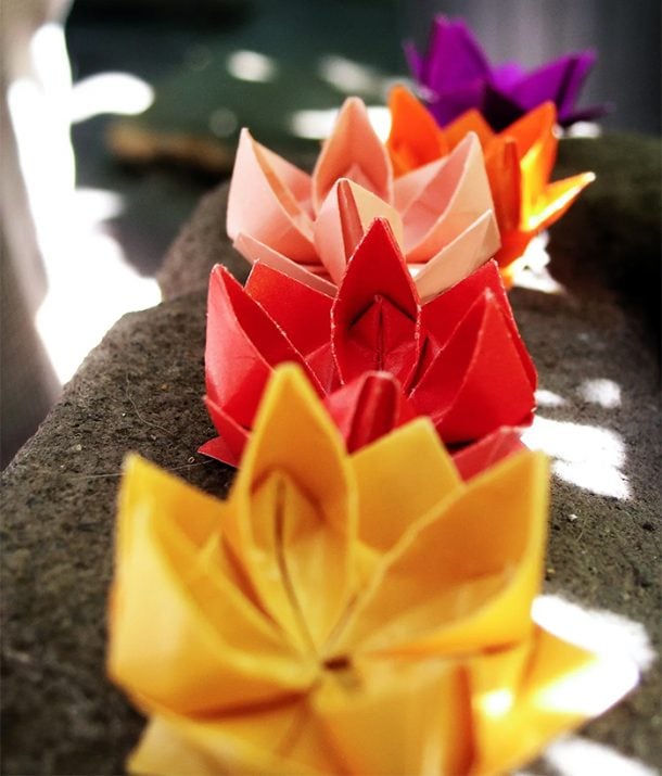 39 Easy Origami Flowers - Kids Activities Blog