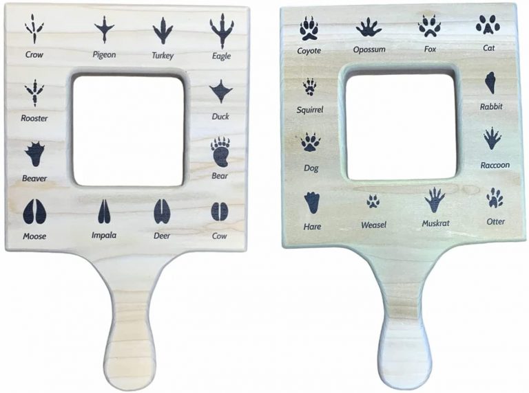 These Nature Guide Finders Are The Perfect Way to Get Your Kids ...