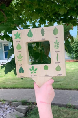 10 Fun Reading Activities for Beginners Kids Activities Blog