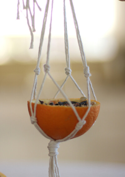 36 Easy DIY Bird Feeder Crafts Kids Can Make | Kids Activities Blog