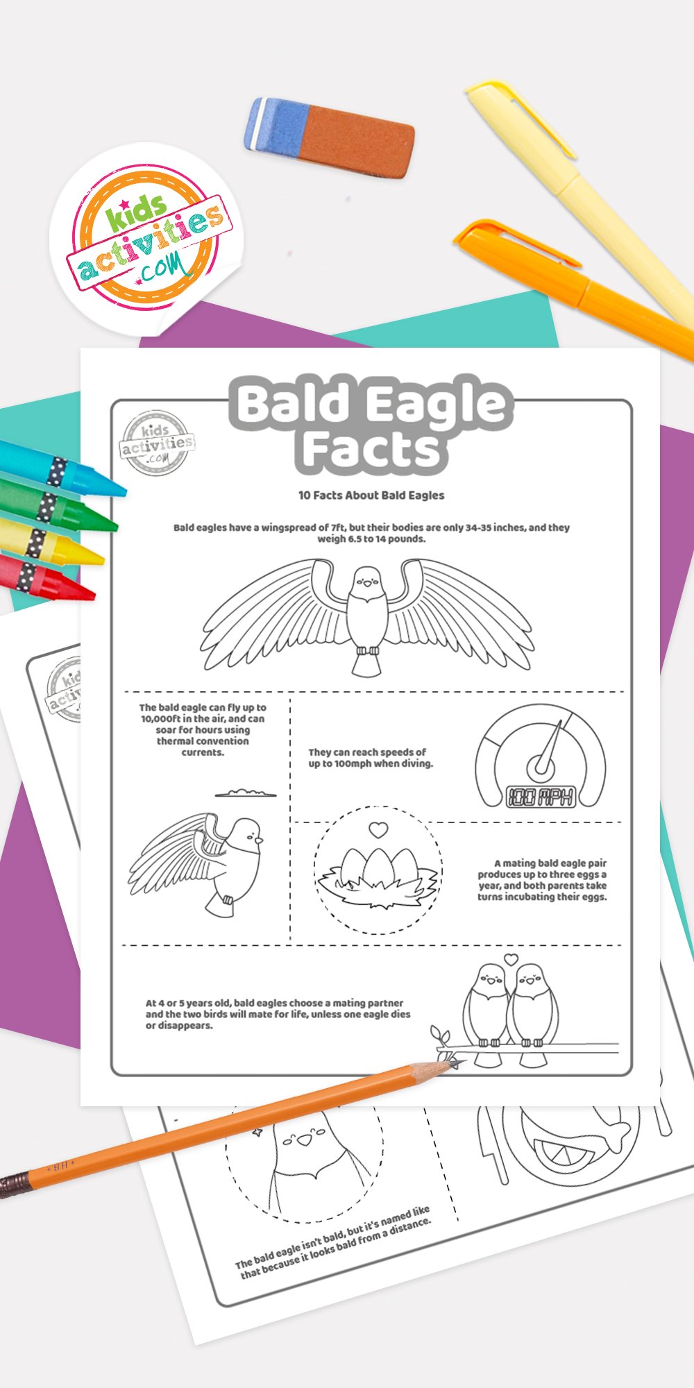 Fun Bald Eagle Facts For Kids To Print and Learn | Kids Activities Blog