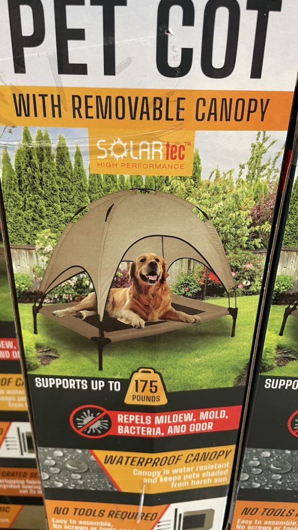 Costco Is Selling An Elevated Pet Cot to Keep Your Pet from Sleeping on ...