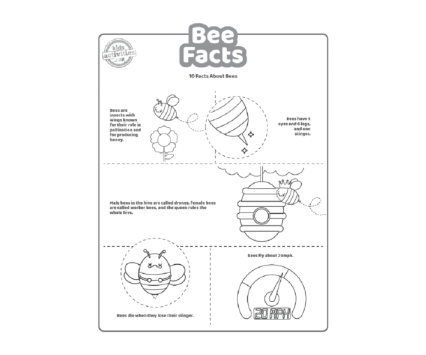 Fun Bee Facts for Kids to Print and Learn Kids Activities Blog