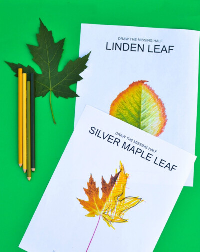 33 Awesome Fall Art Activities For Kids | Kids Activities Blog